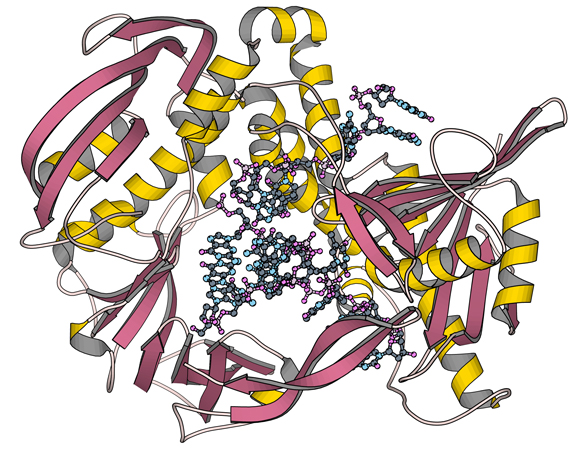 DNA Sequencing From First Principles
